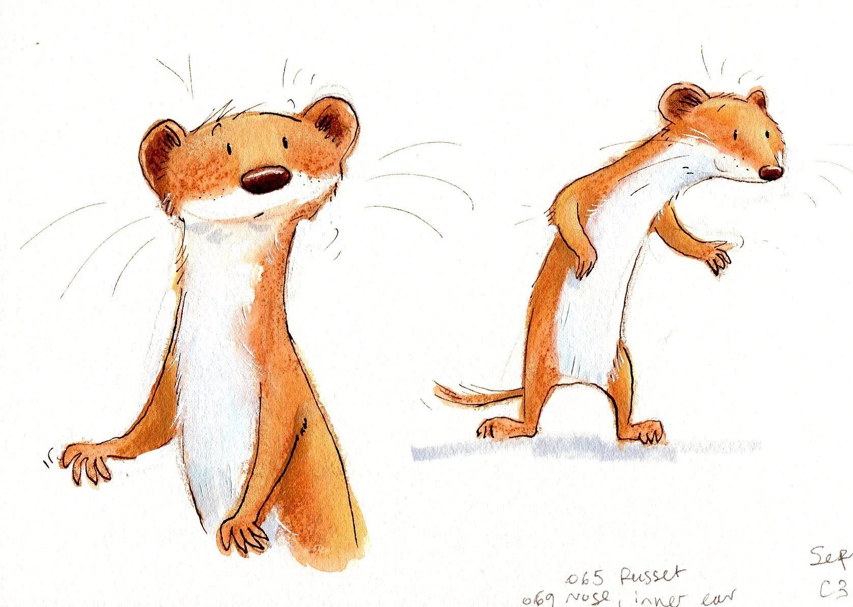 A Little Bit Worried — Storyteller Tim Warnes