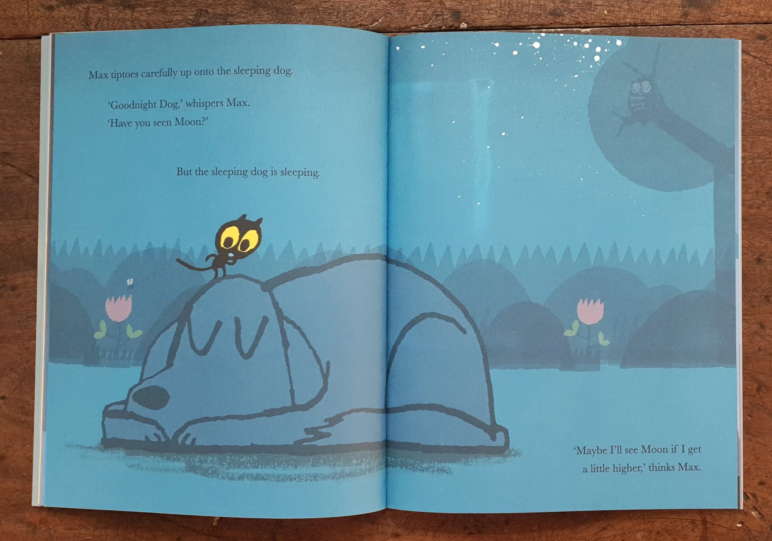 Max at Night: A perfect bedtime read — Tim Warnes