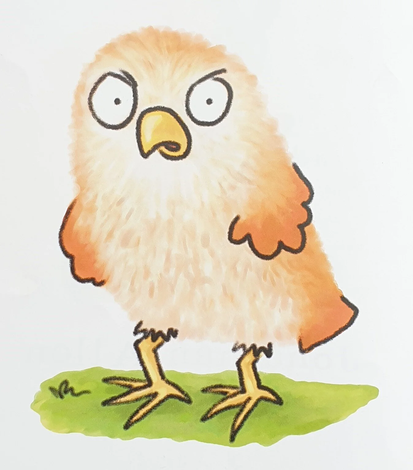 I’m not cute!: Using picture books to process tricky emotions — Tim Warnes