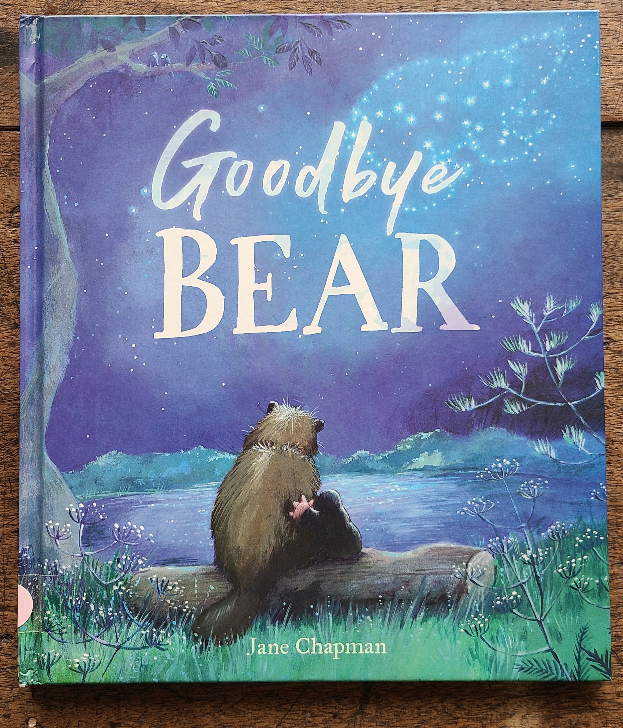 Helping kids grieve with ‘Goodbye Bear’ — Tim Warnes