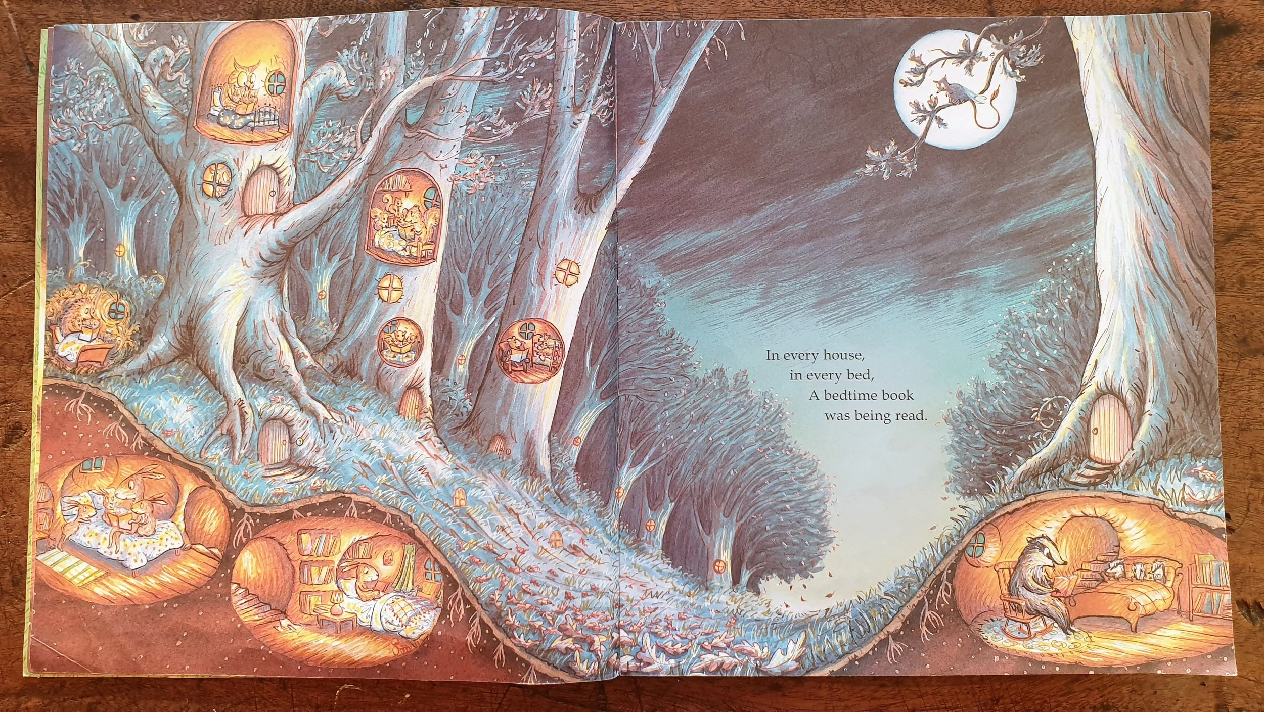 “The Snatchabook” by Helen & Thomas Docherty | Picture Book Review ...