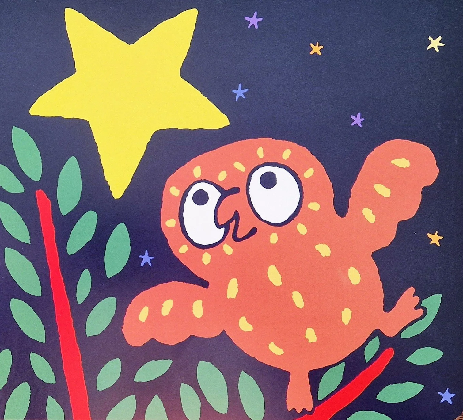 Little Owl And The Christmas Star