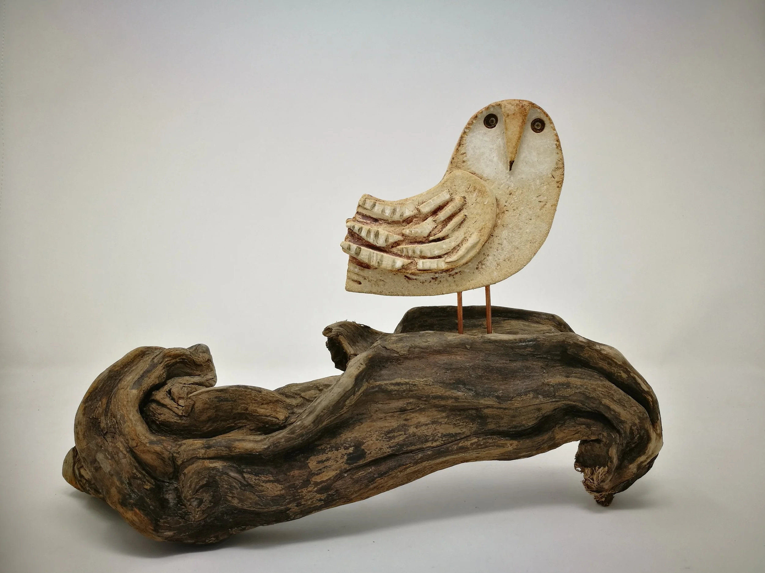 DAW 2026 — Tim Warnes