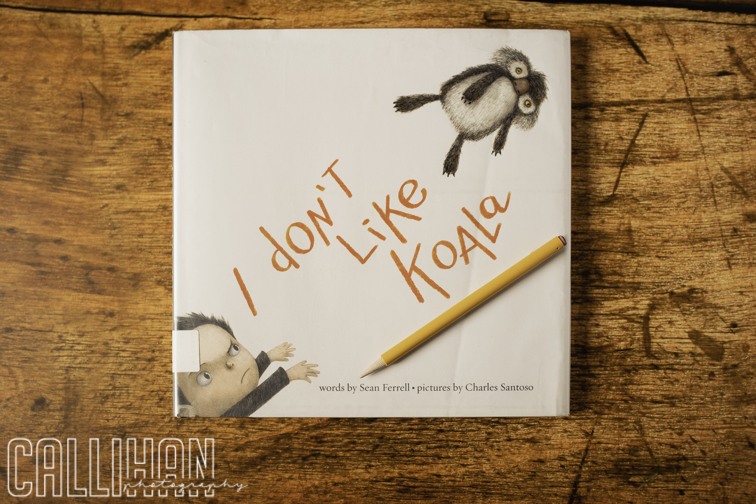 Callihan Photography-Columbus Indiana Photographer — Top Ten Children's ...