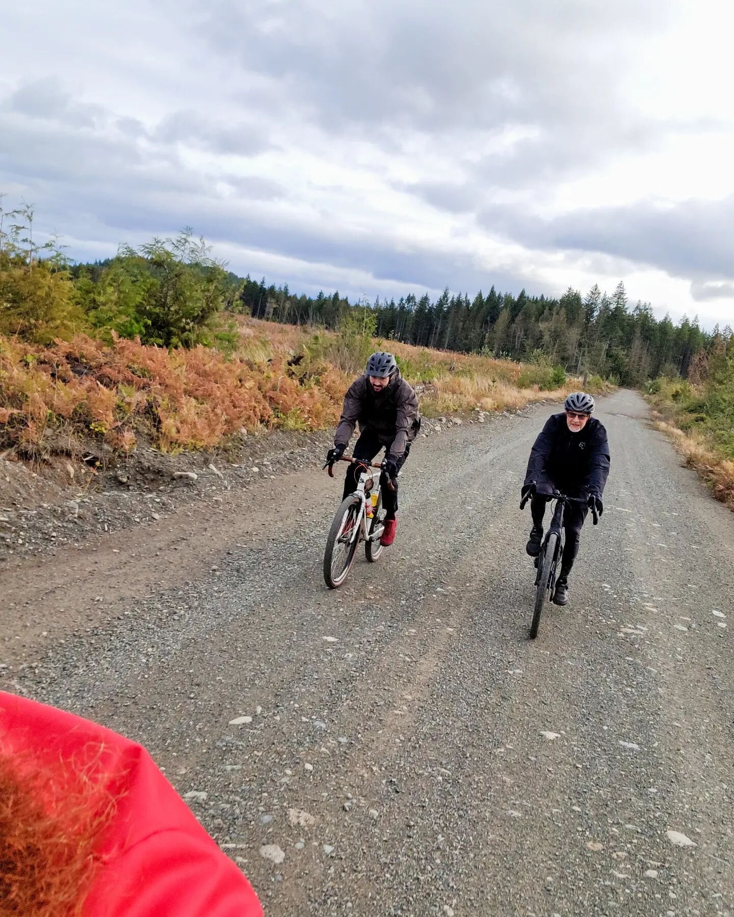 Mid Island Velo Association