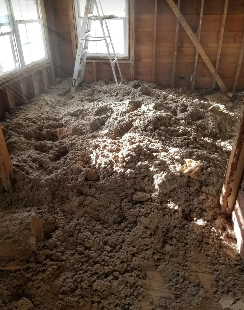 Termites In Ceiling Drywall | Shelly Lighting