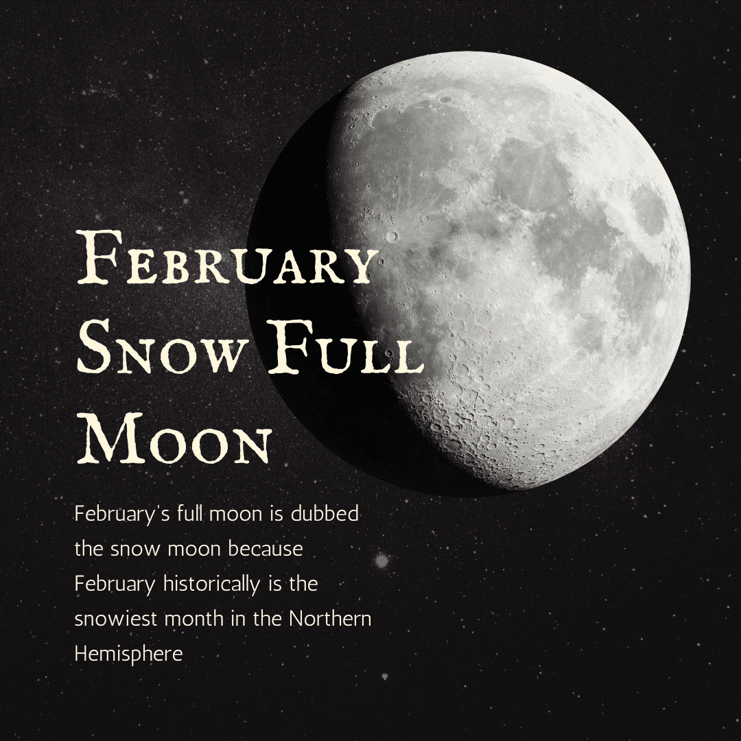 Top 11 Interesting Days in February 2024 — Call Realty Best Palos ...