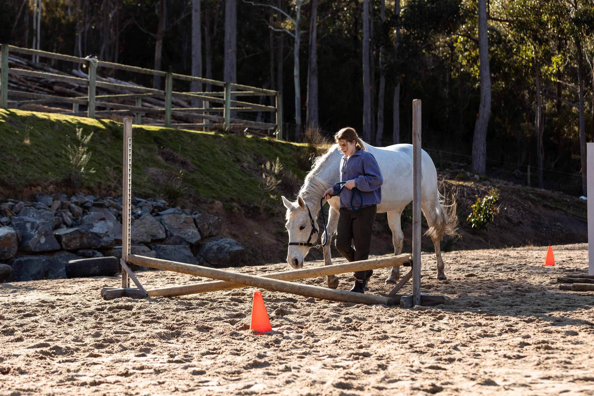 Full Gallop