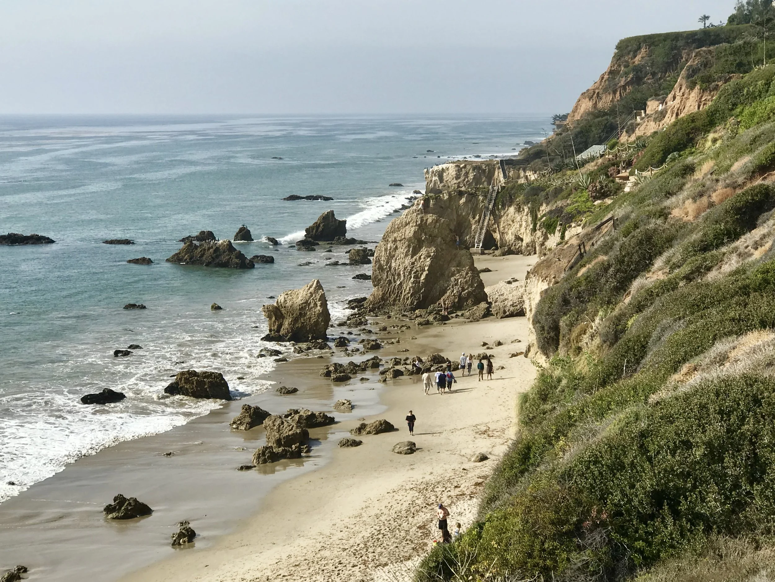 Are Dogs Allowed At El Matador State Beach
