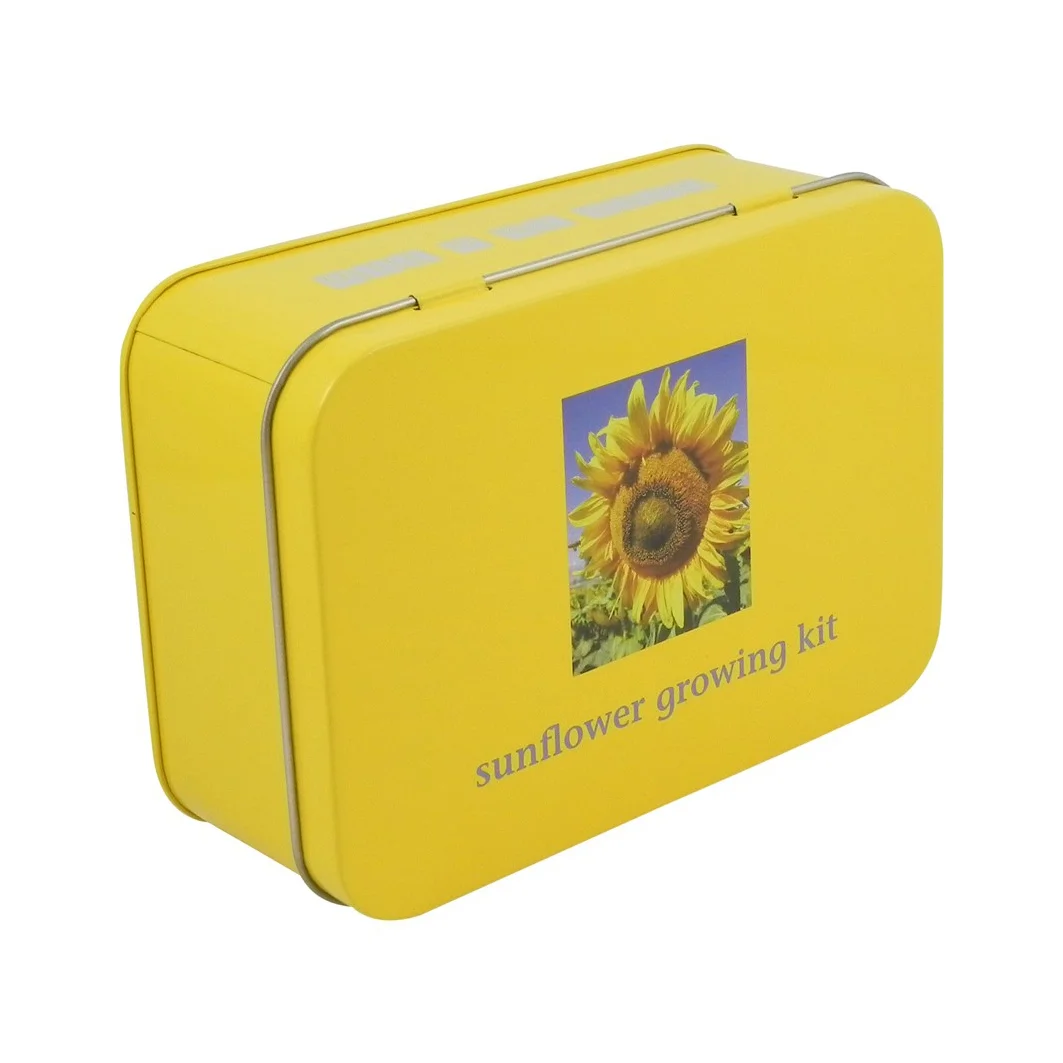 Giant Sunflower Growing Kit — Interior White