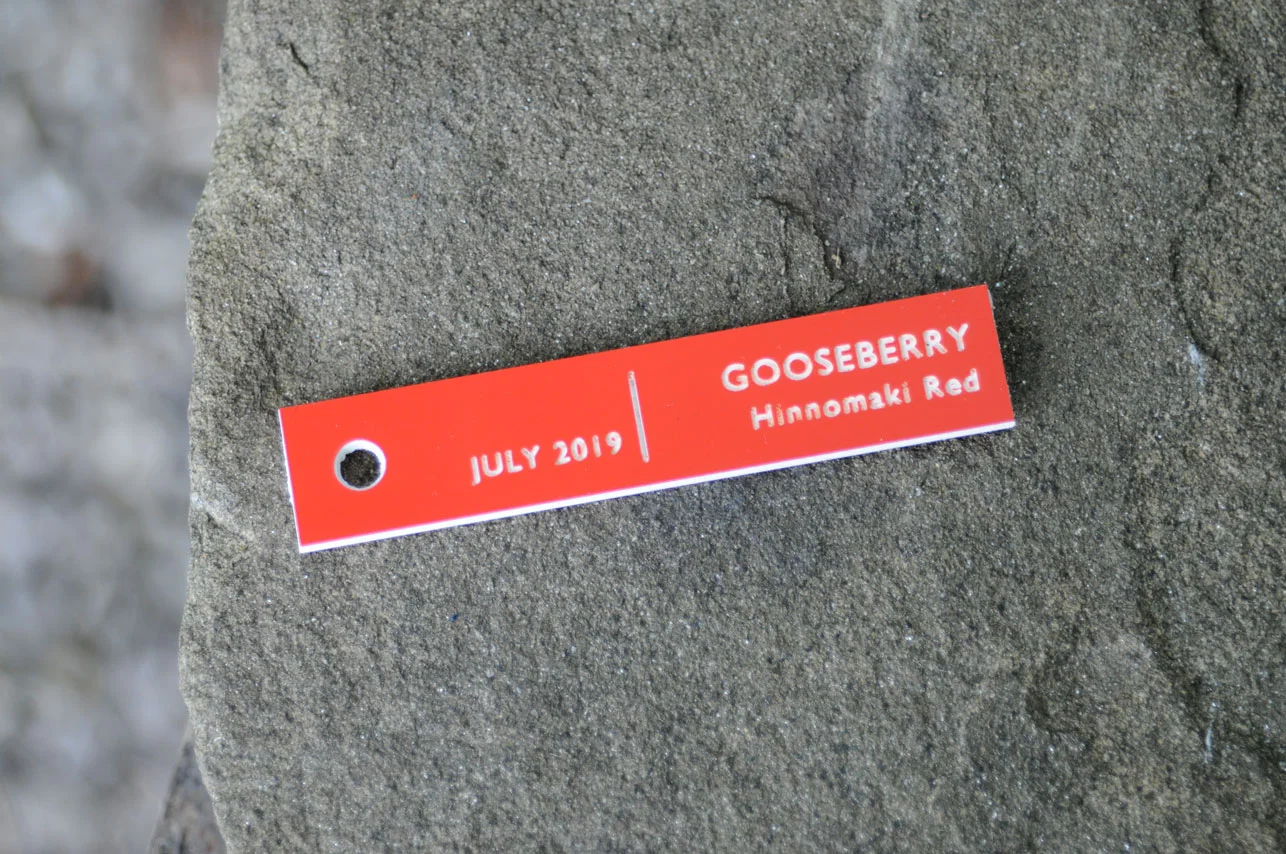 Botanical Labels - engraved labels and signs for gardens, orchards ...