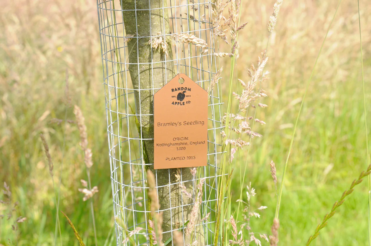 Botanical Labels - engraved labels and signs for gardens, orchards ...