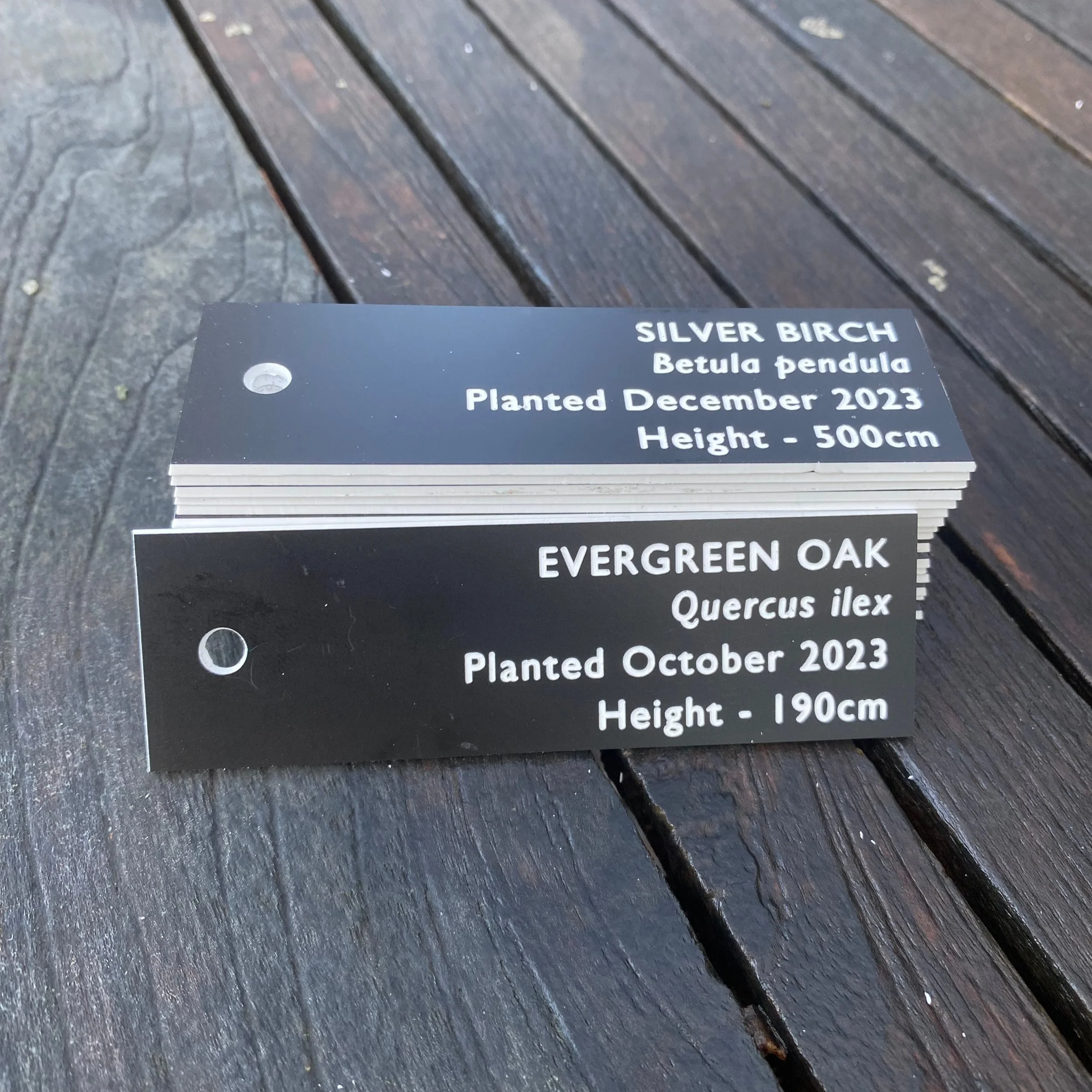 Botanical Labels - engraved labels and signs for gardens, orchards ...