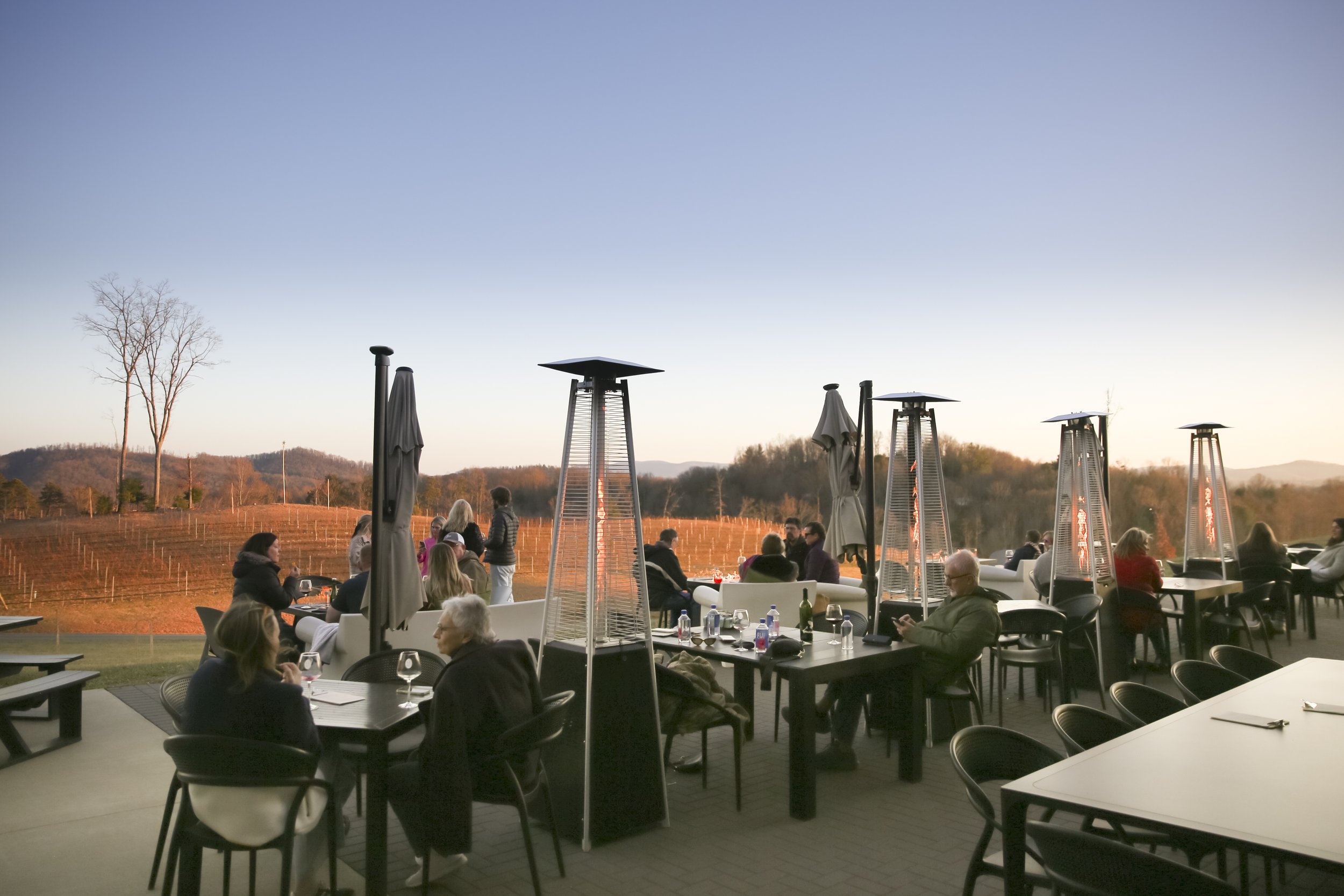 Award-Winning Winery Hendersonville NC - Marked Tree Vineyard