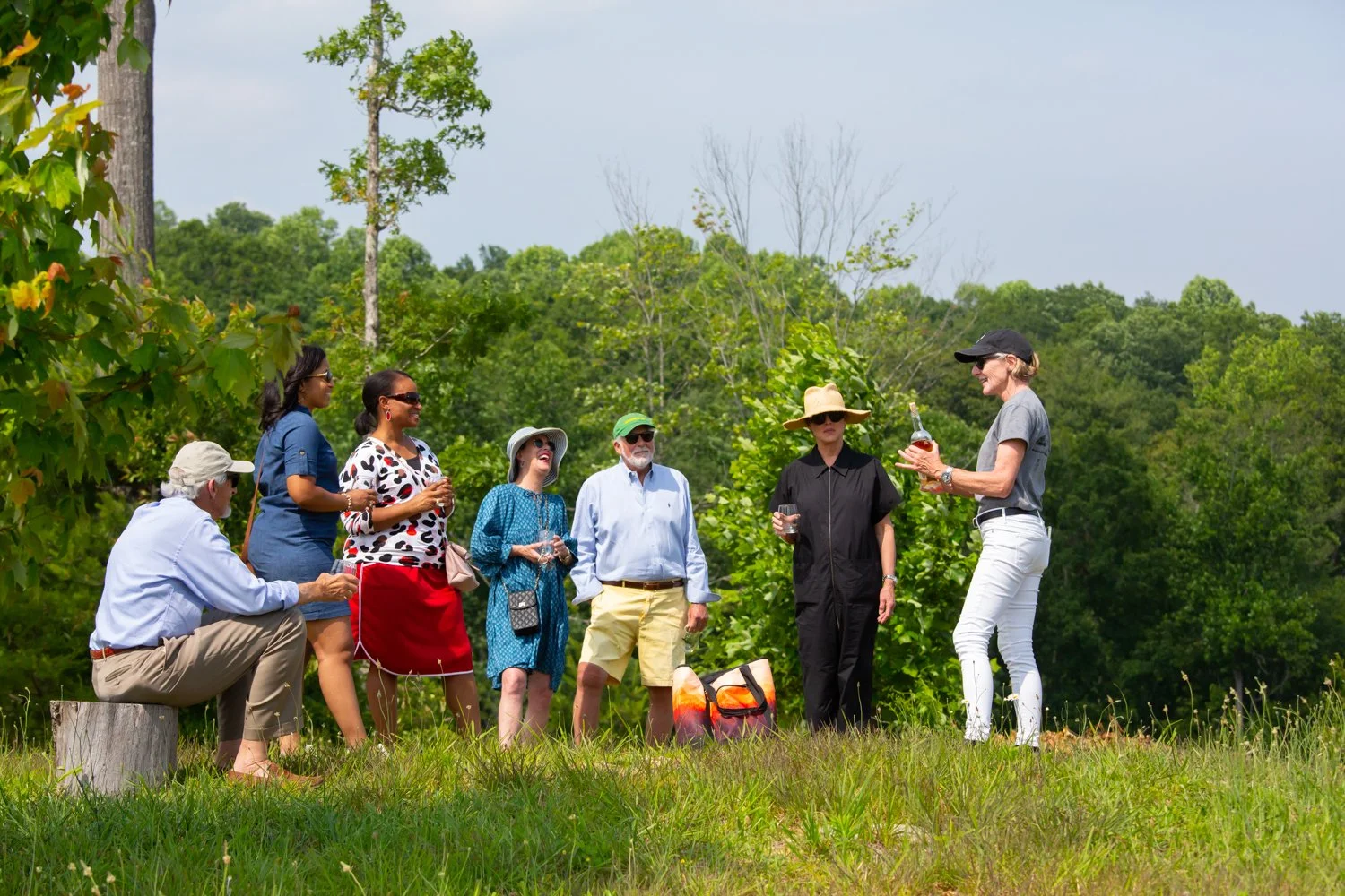 Award-Winning Winery Hendersonville NC - Marked Tree Vineyard