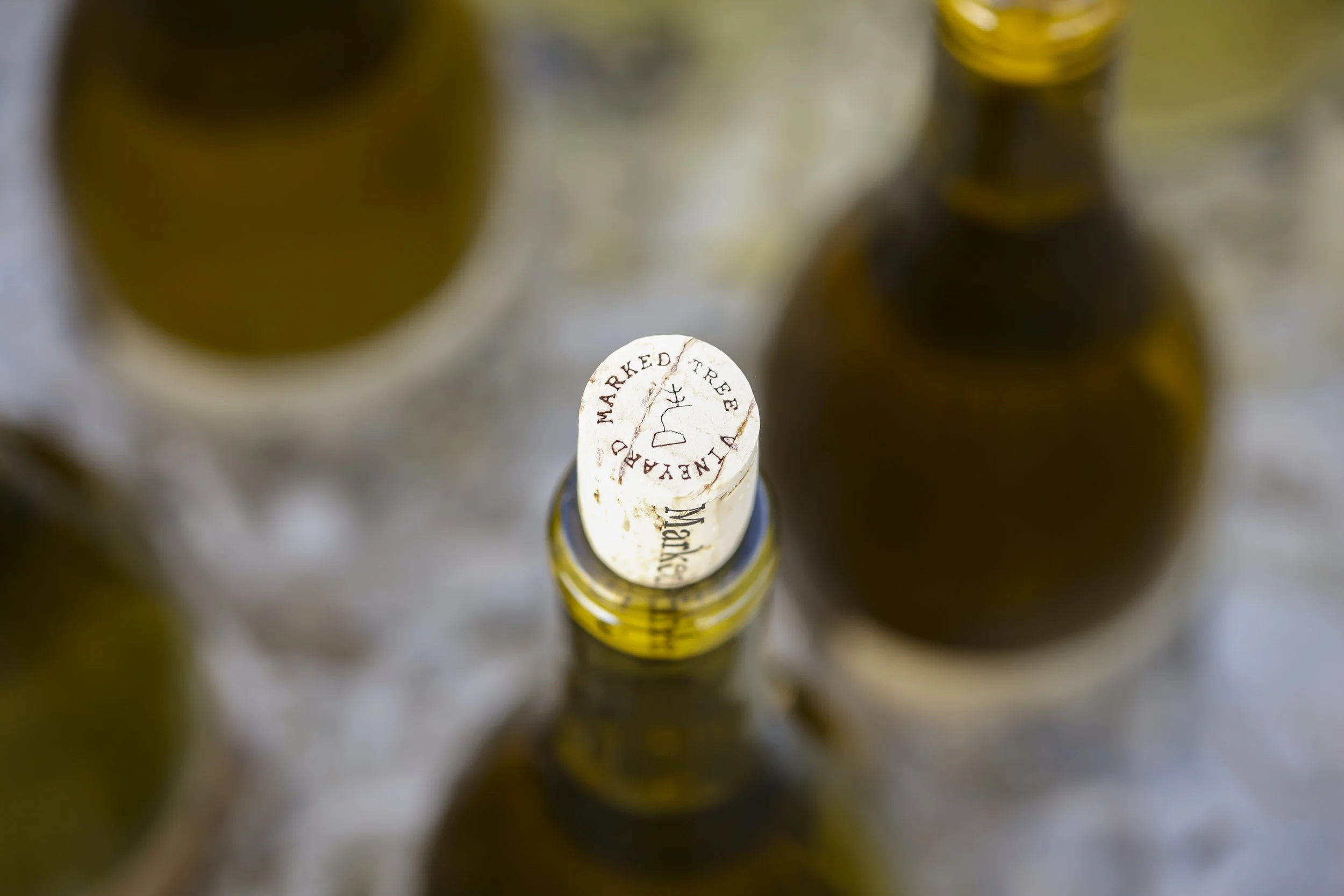 Award-Winning Winery Hendersonville NC - Marked Tree Vineyard