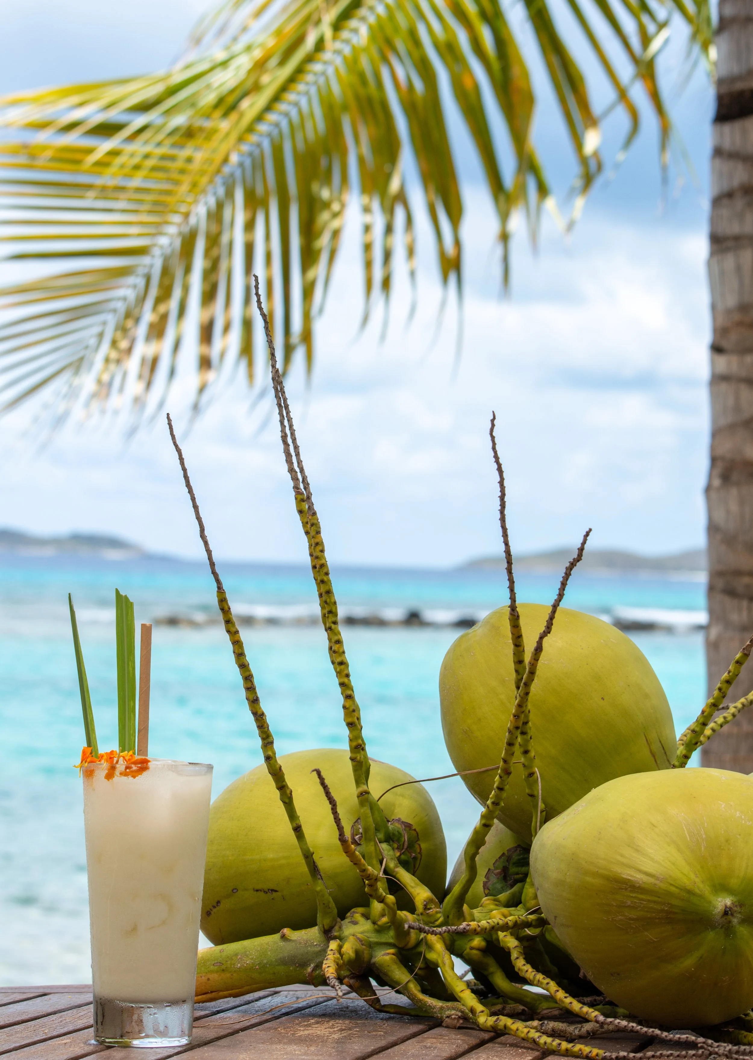 Food | Beach Restaurant British Virgin Islands | CocoMaya