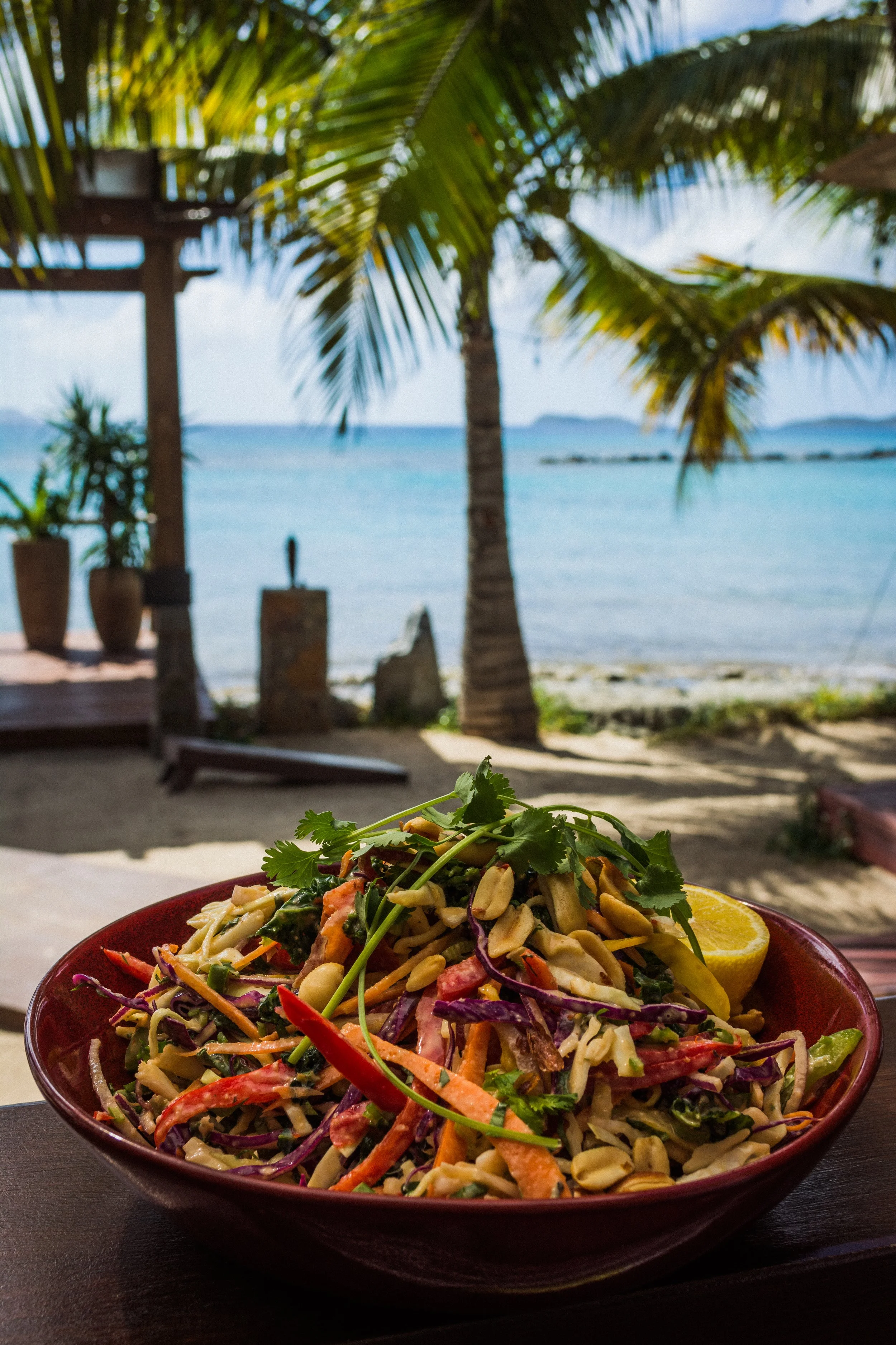 Food | Beach Restaurant British Virgin Islands | CocoMaya
