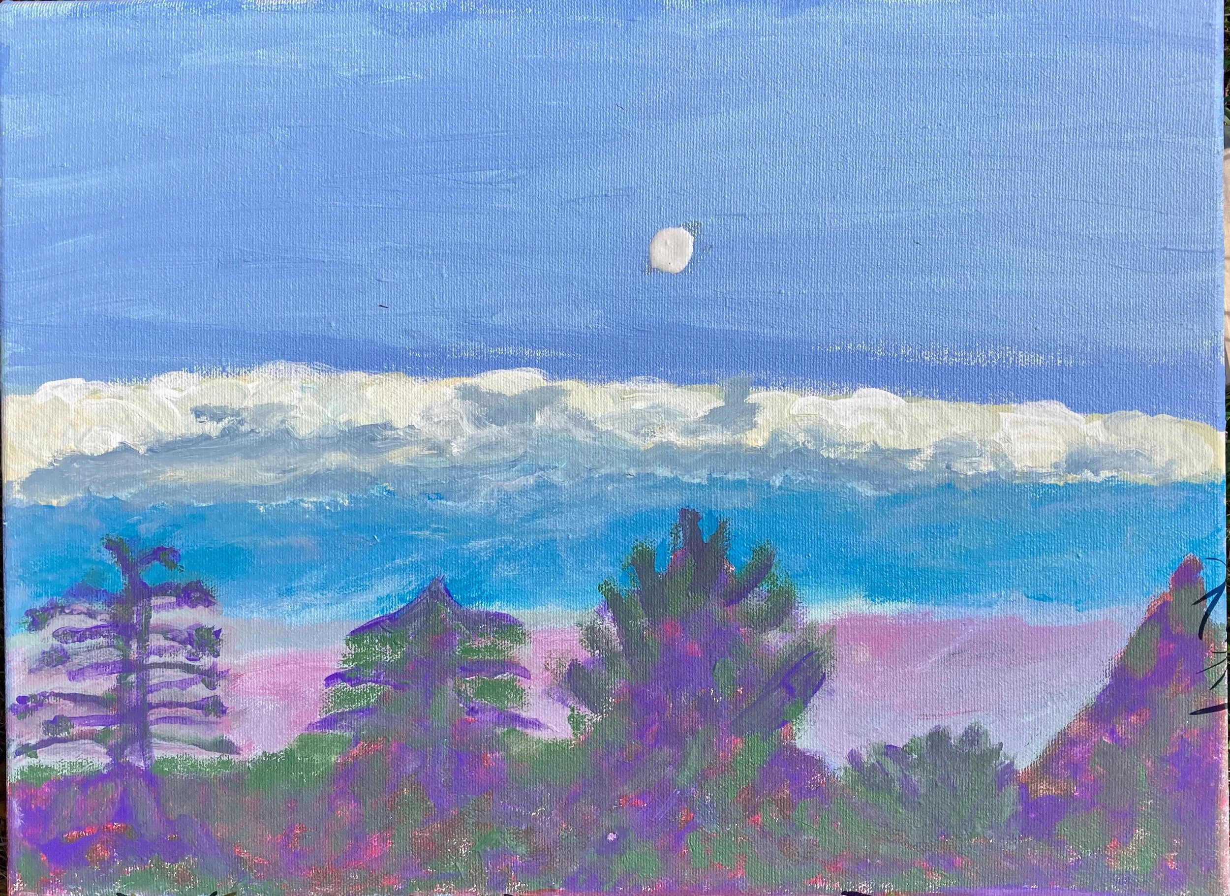 Landscapes — Trish Diamond