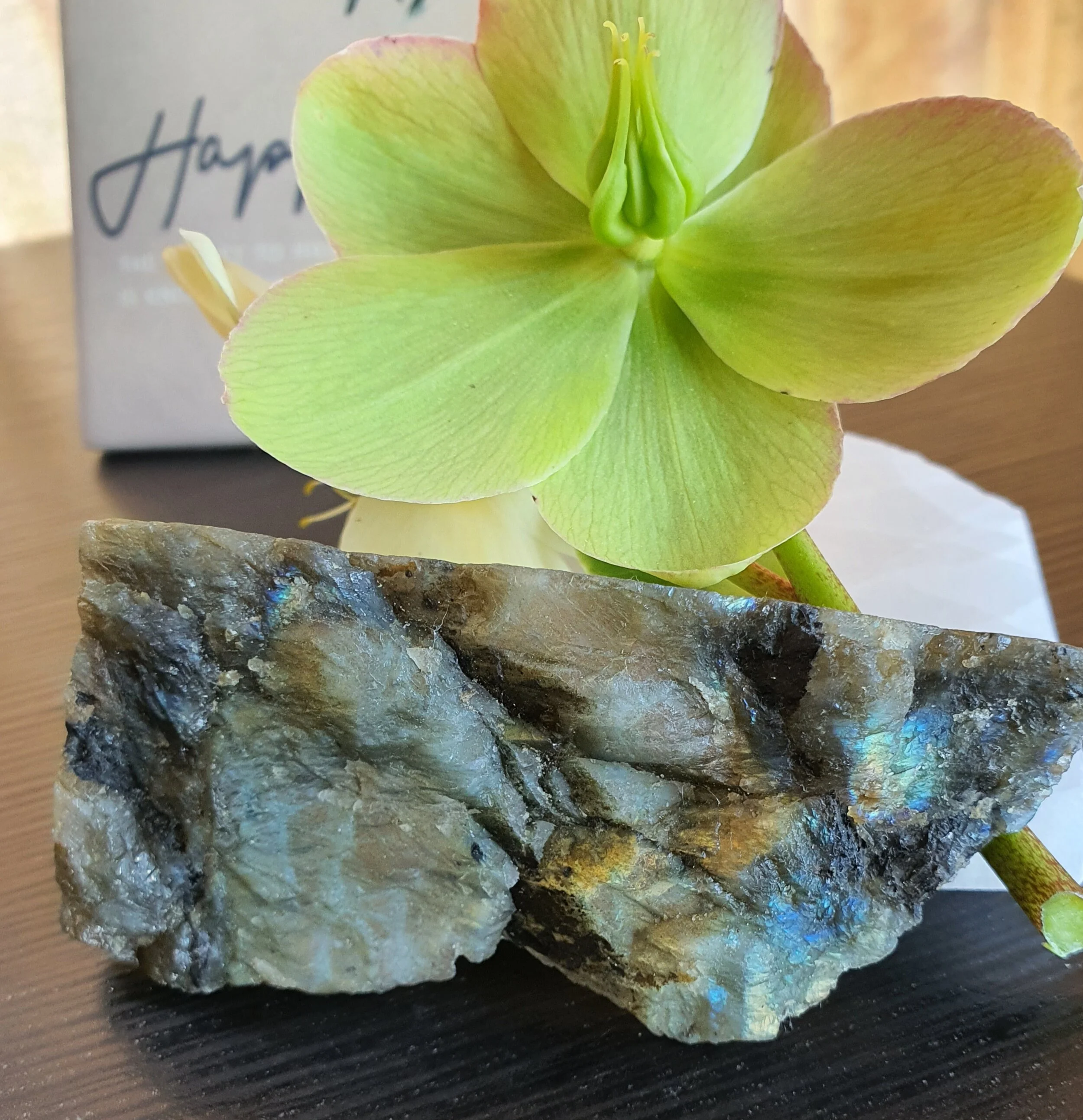 Discover our Crystals — The Capricorn Spirit