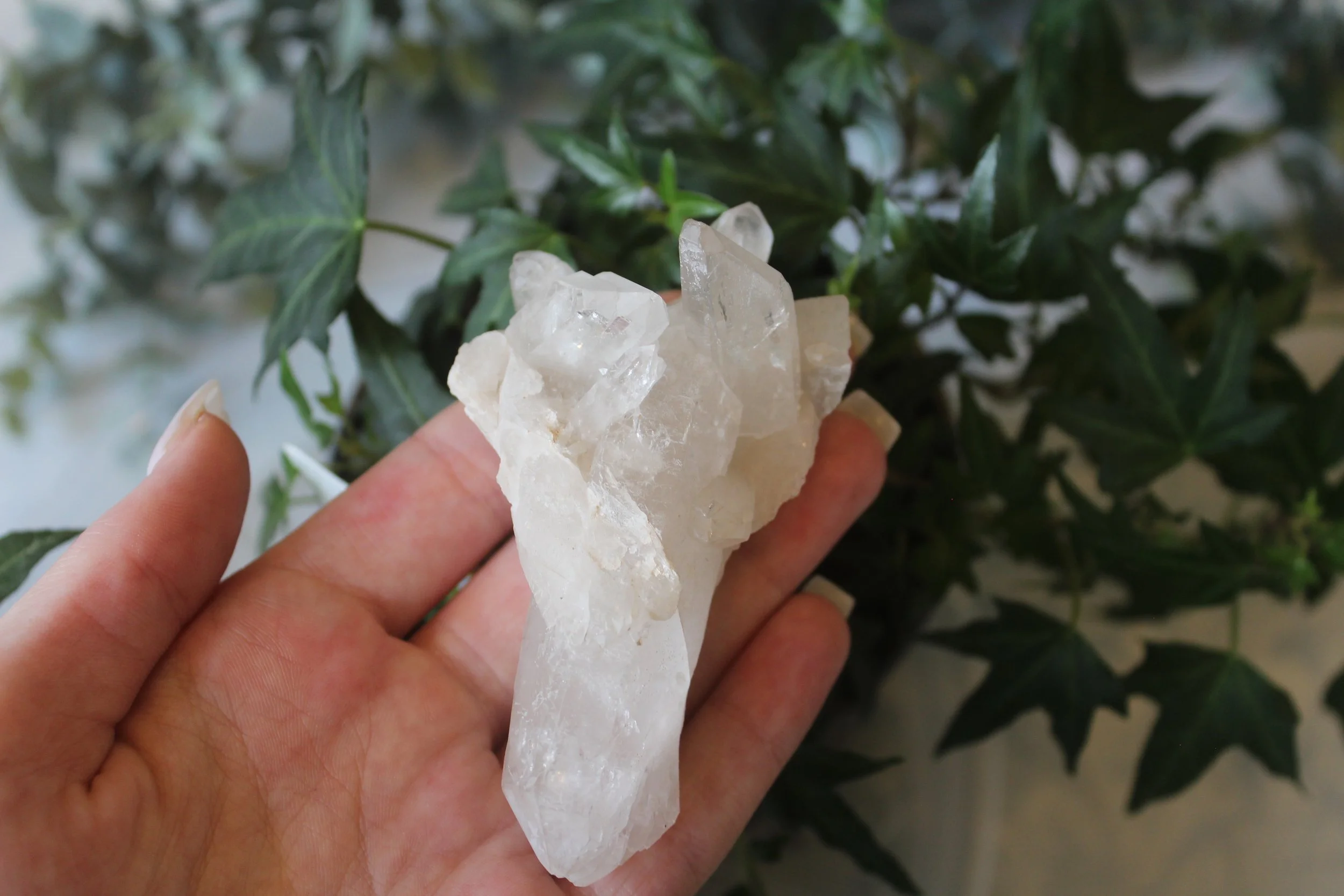 Discover our Crystals — The Capricorn Spirit