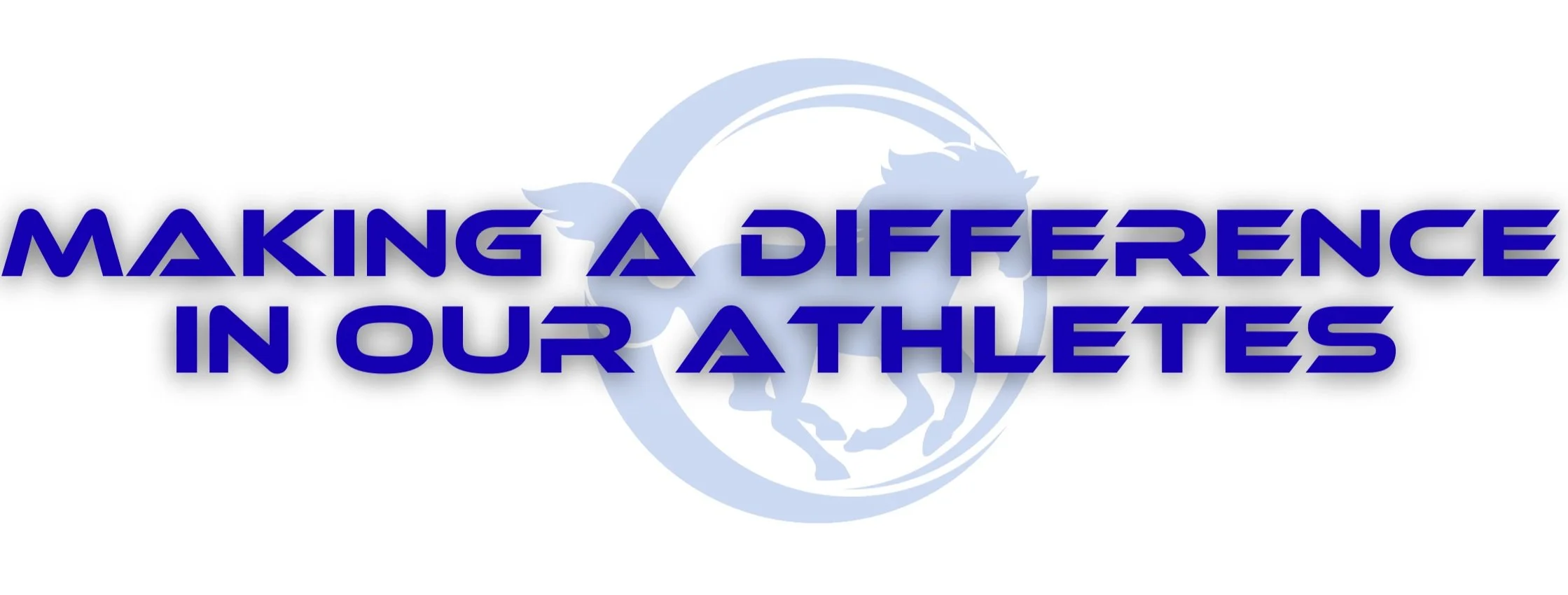 Gym Values — Mustang Cheer Dallas