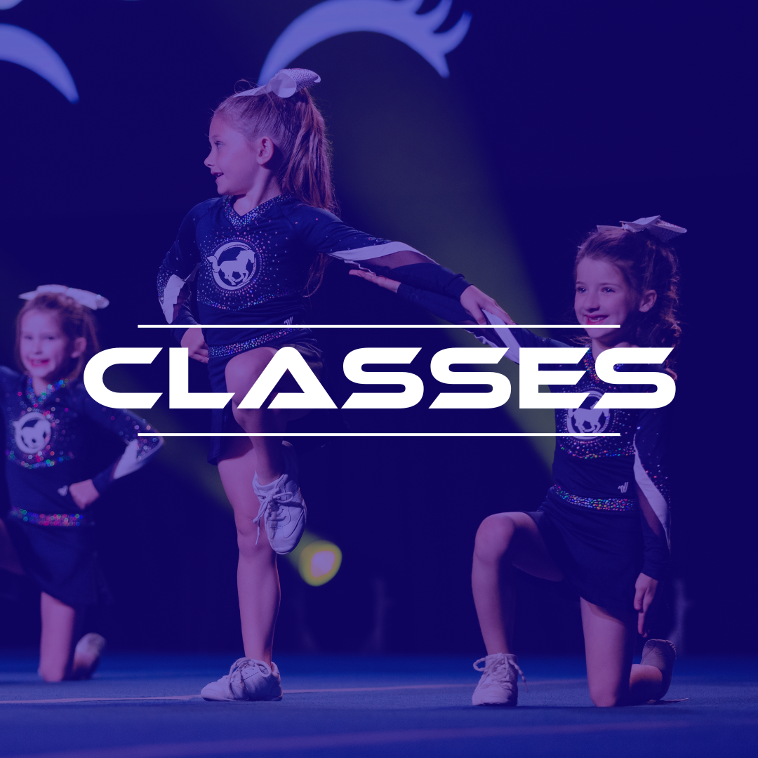 Mustang Cheer Dallas