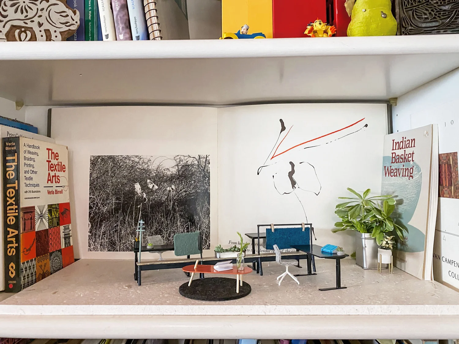 Meet Olli Mini Blog — Pair