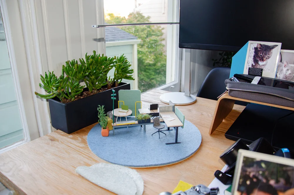Meet Olli Mini Blog — Pair