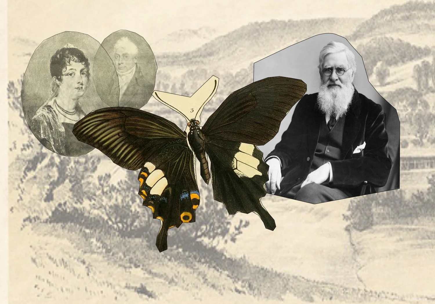 Alfred Russel Wallace Drawings
