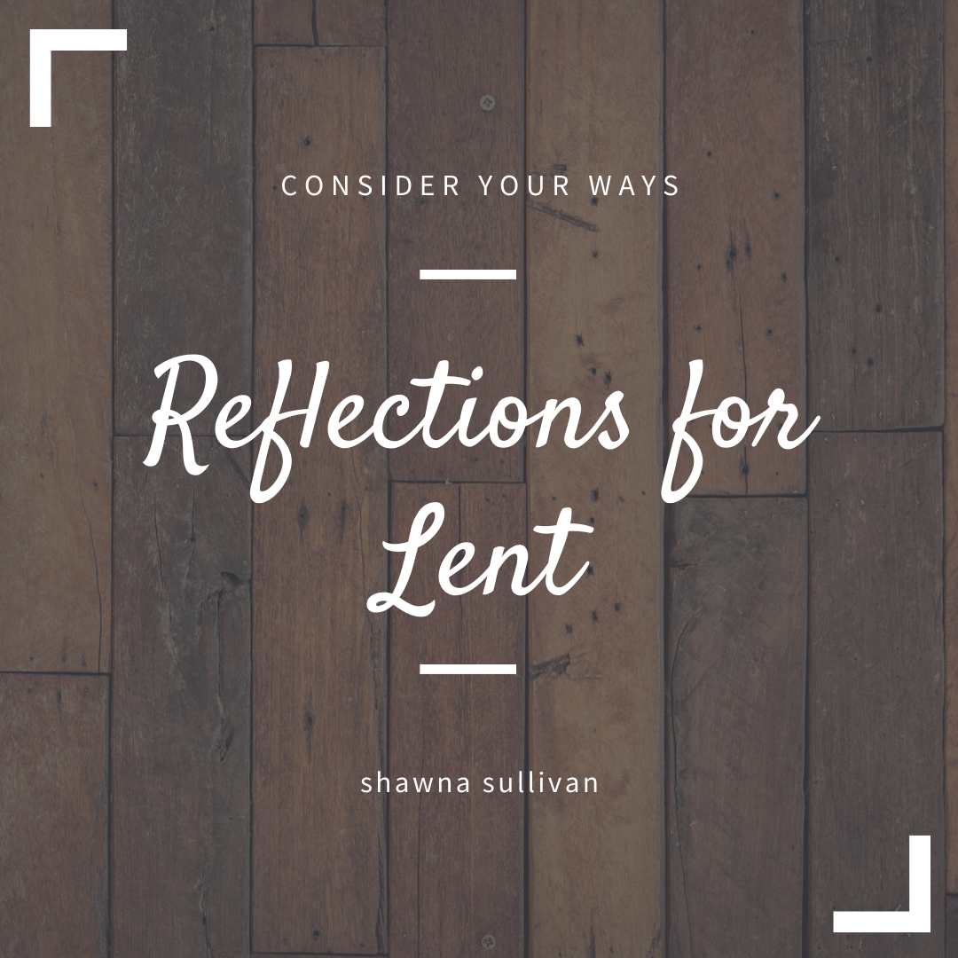 Consider Your Ways — Shawna Sullivan