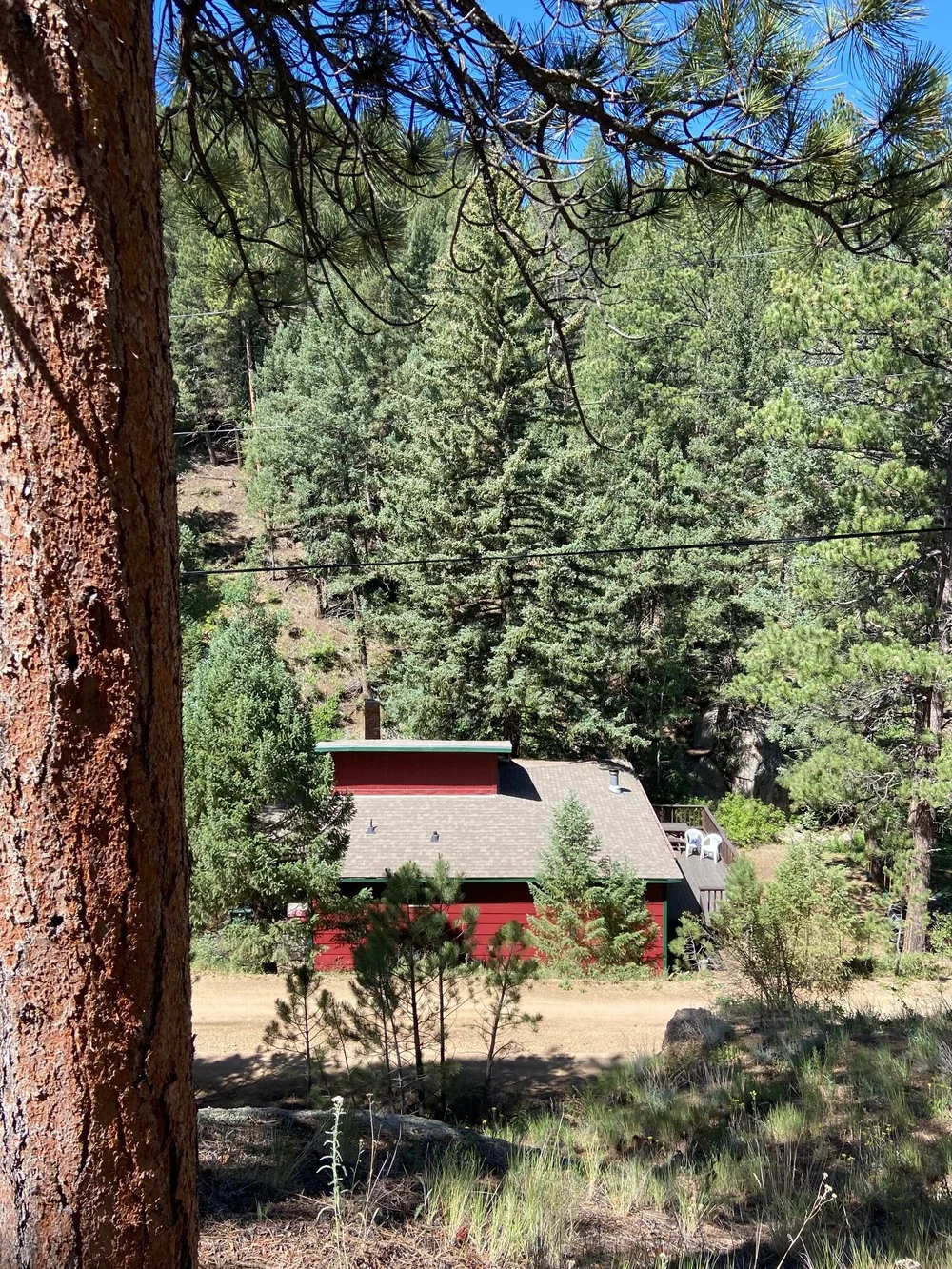 The New Pioneer — Shawna Sullivan