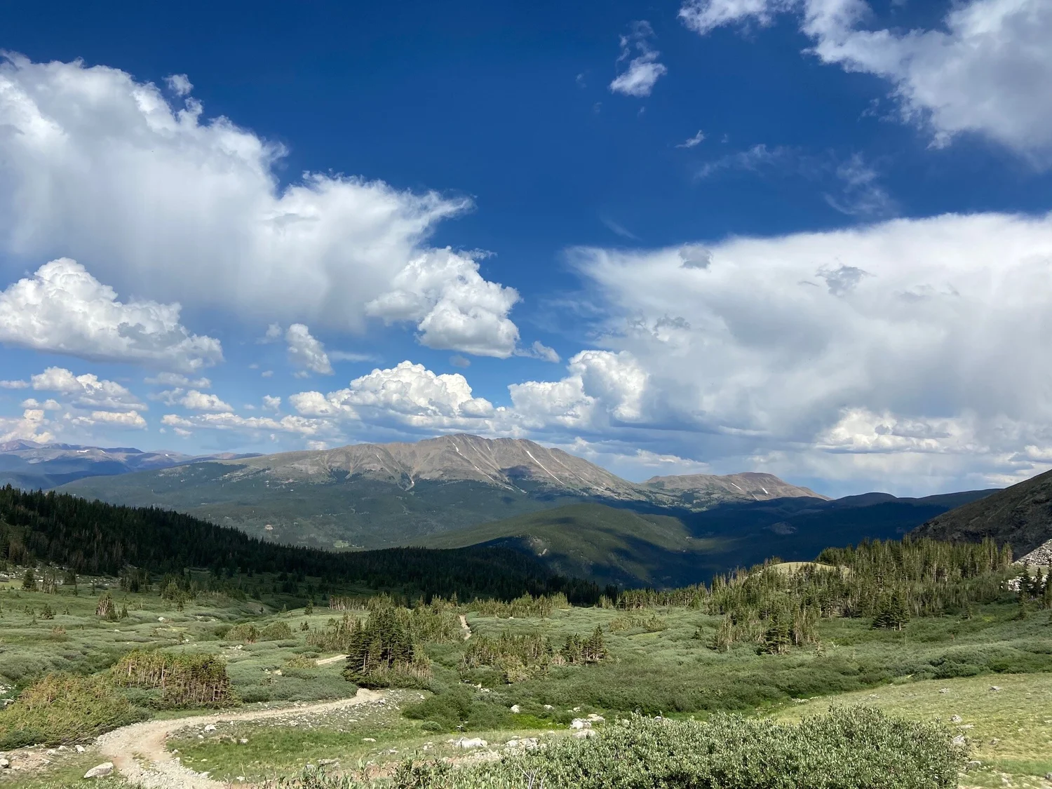 The New Pioneer — Shawna Sullivan