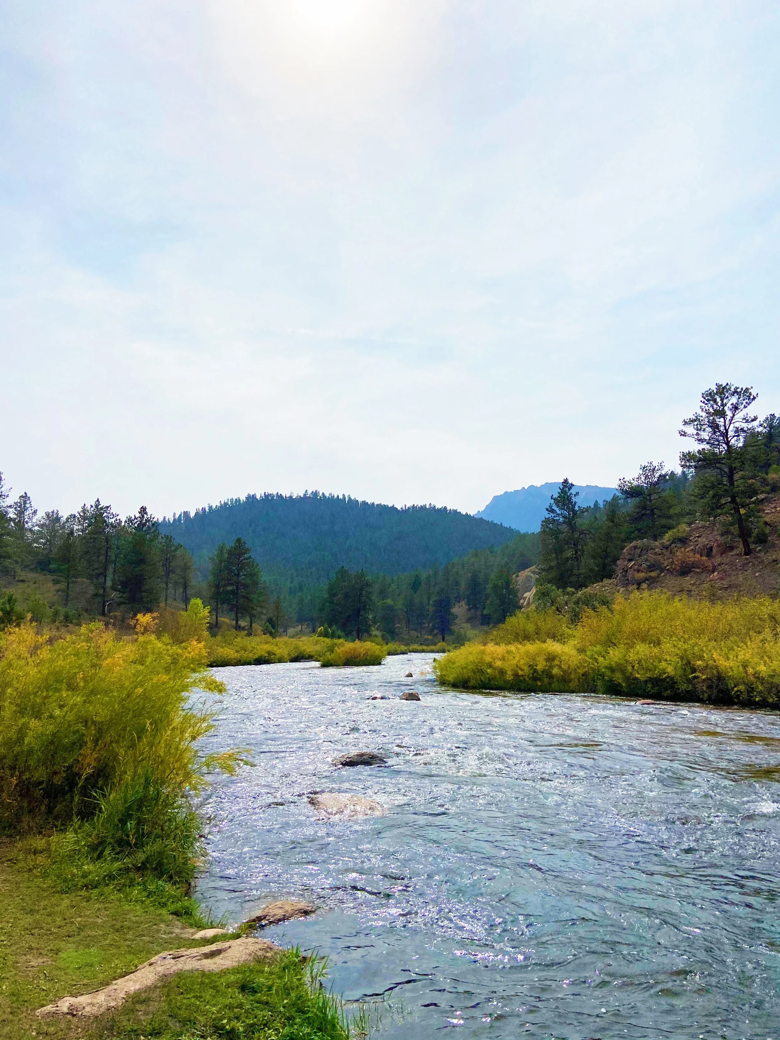 Along the Weary Way — Shawna Sullivan