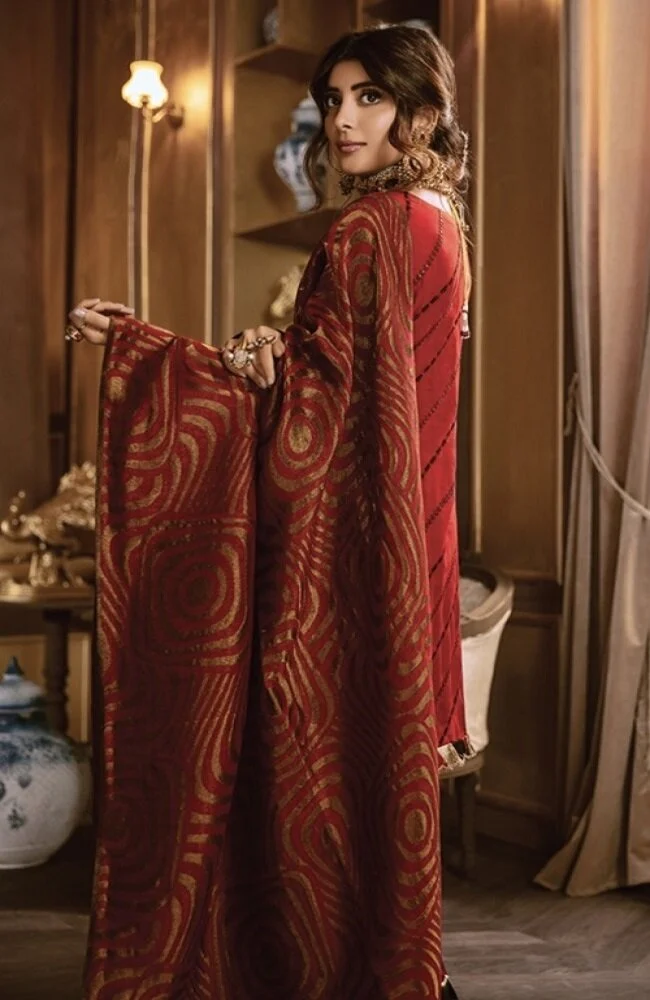 Pakistani Salwar Kameez | Designer Salwar Kameez | Punjabi Suits ...