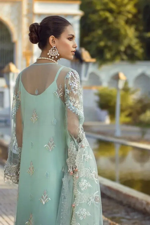 Designer Salwar Kameez Back Designs