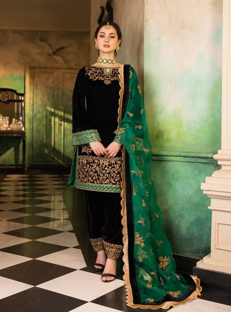 Pakistani Salwar Kameez | Designer Salwar Kameez | Punjabi Suits ...