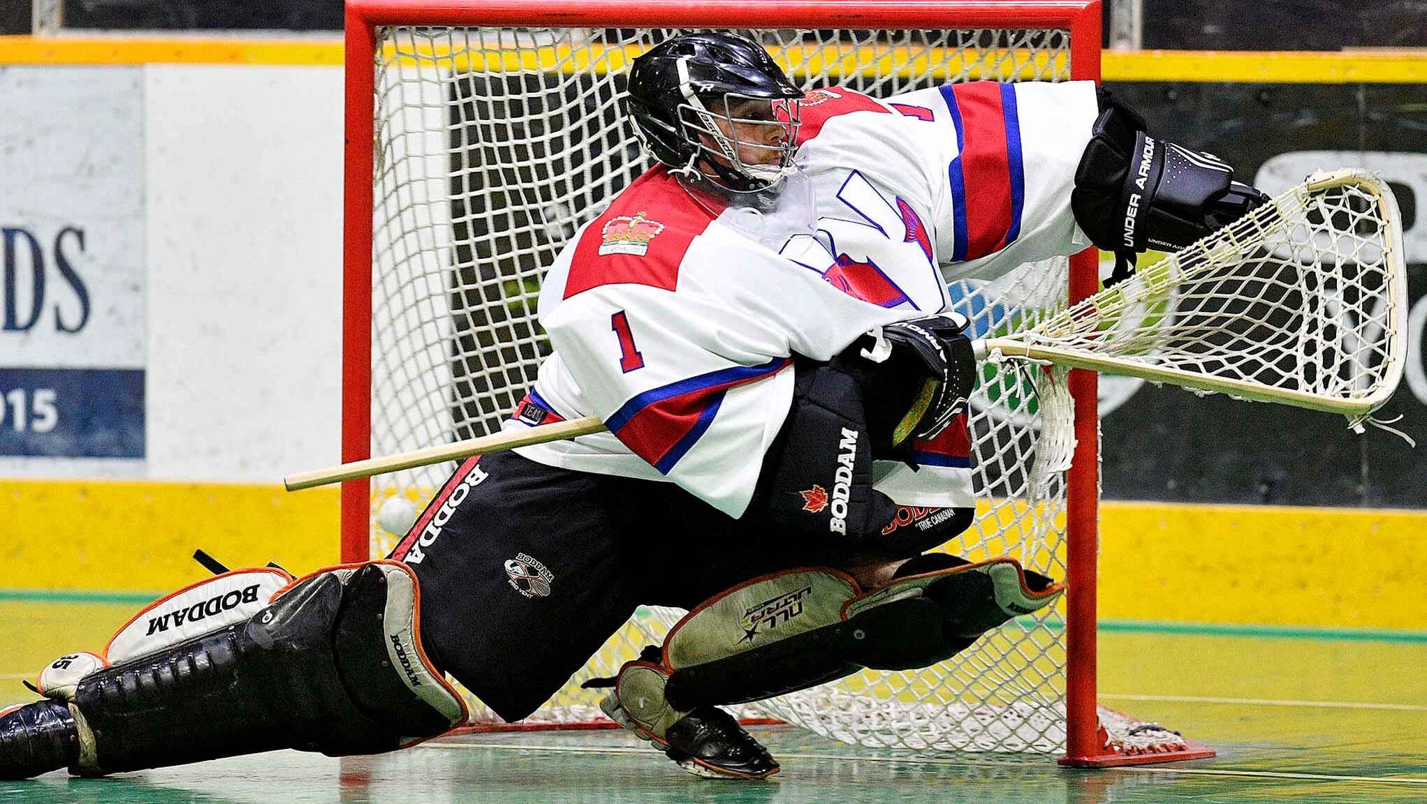 Nll Goalie