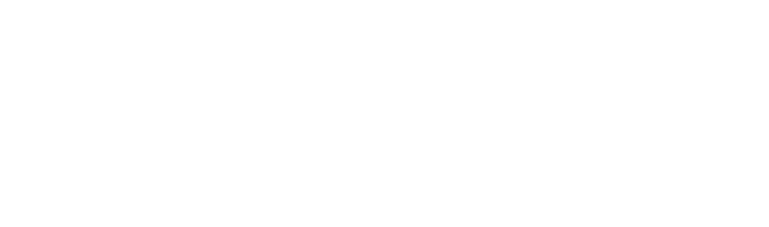 The Global Surgery Foundation