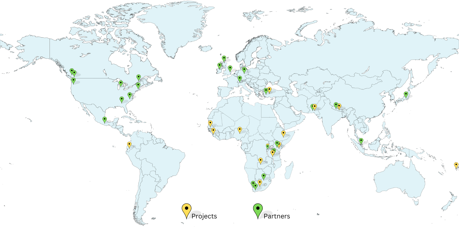 The Global Surgery Foundation