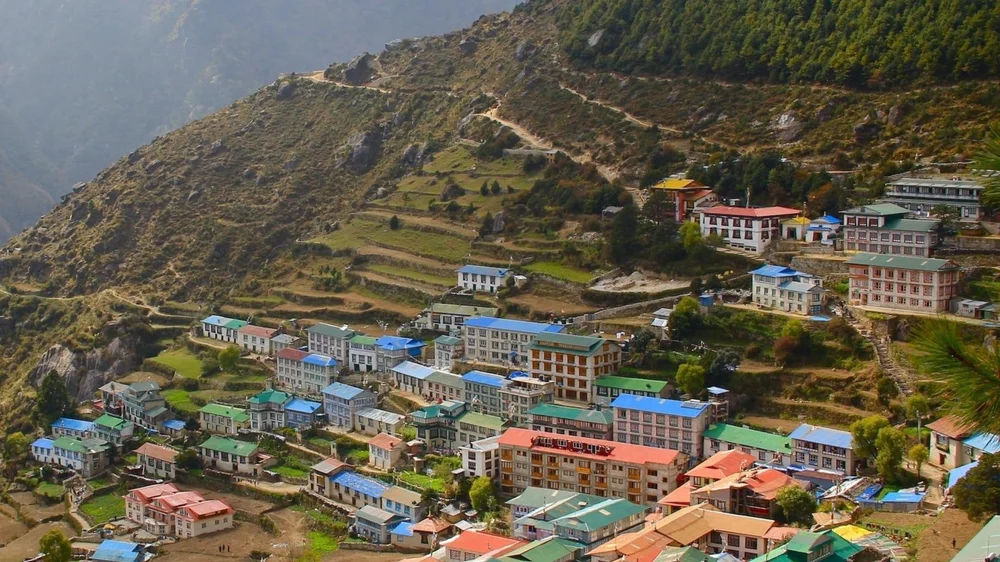 Programmes — The Global Surgery Foundation