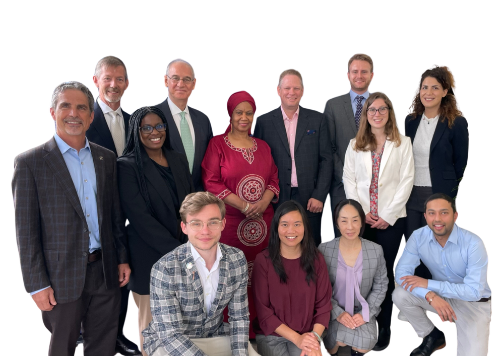 Our purpose: facilitate the development of surgical care systems — The ...