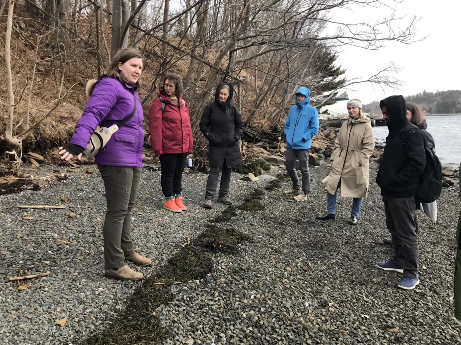 Green Shores Training — TransCoastal Adaptations