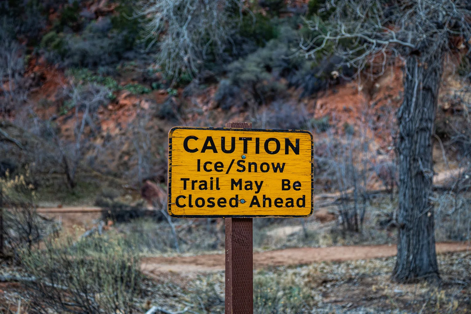 Travel Tips for First-Time Visitors to the U.S. National Parks — Global ...
