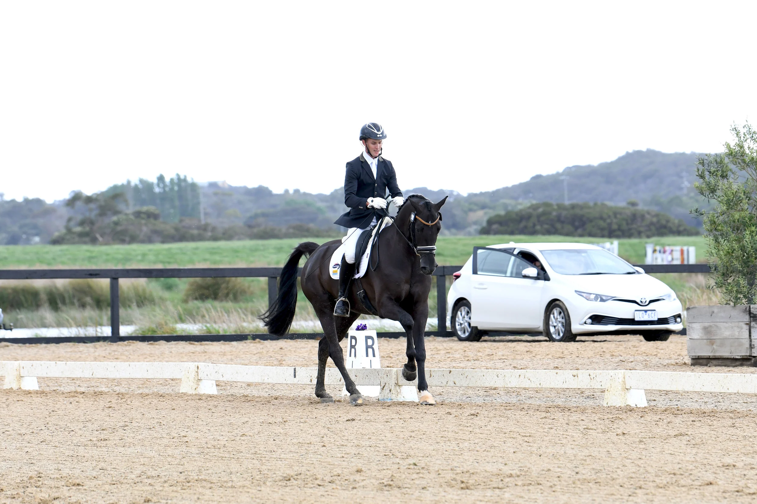 Lord Dressage AustraliaLord Dressage Australia