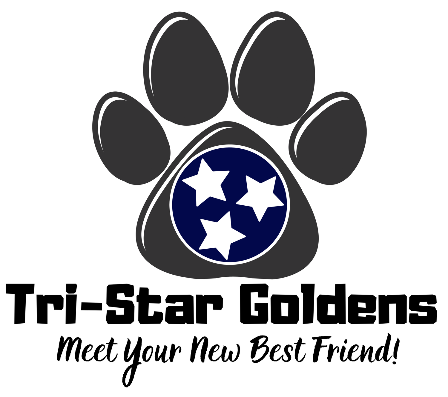 Golden Retriever Puppies for Sale in Nashville, Tennessee