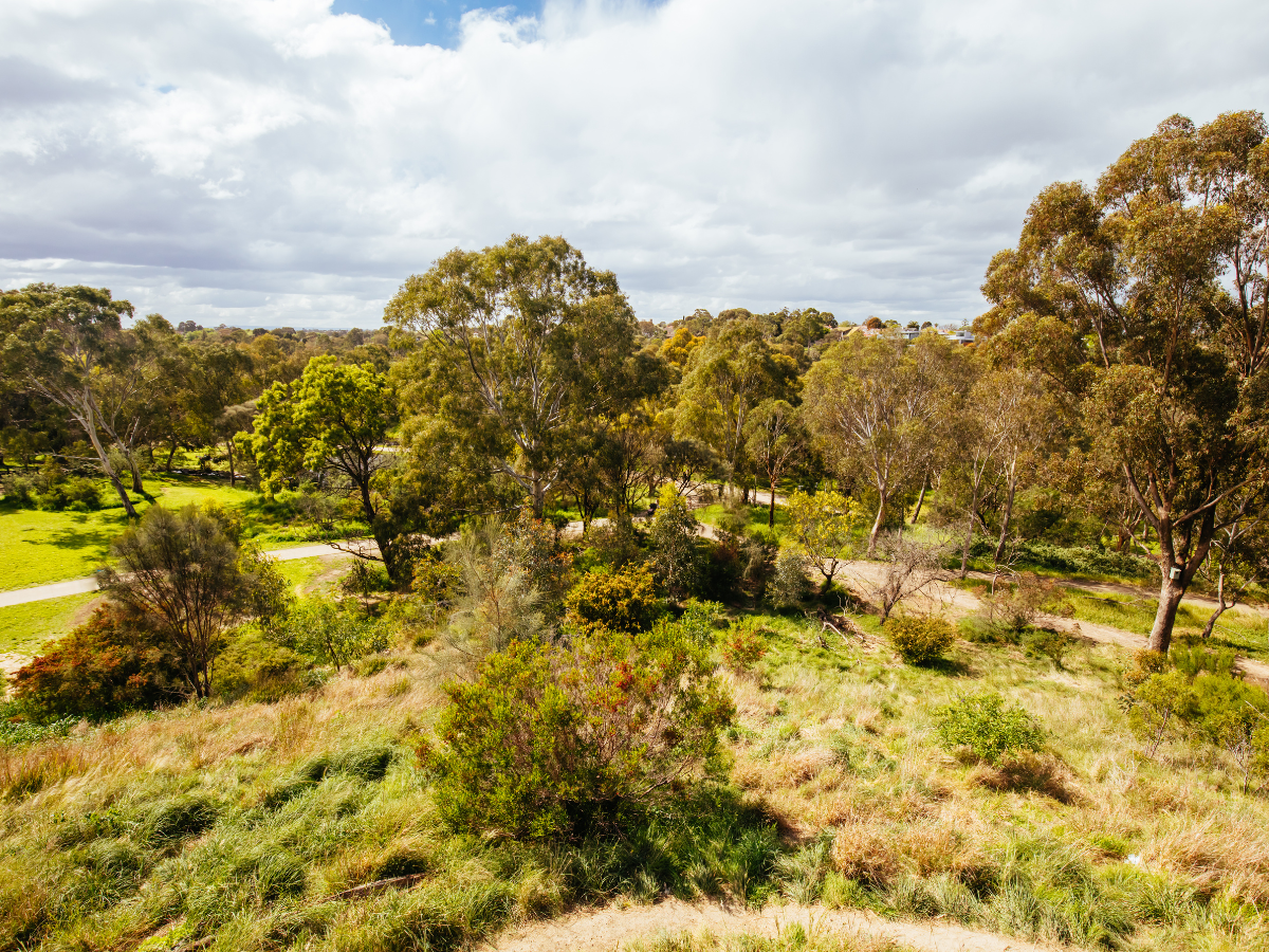 We need your art! Community art project in City of Darebin — Village Power