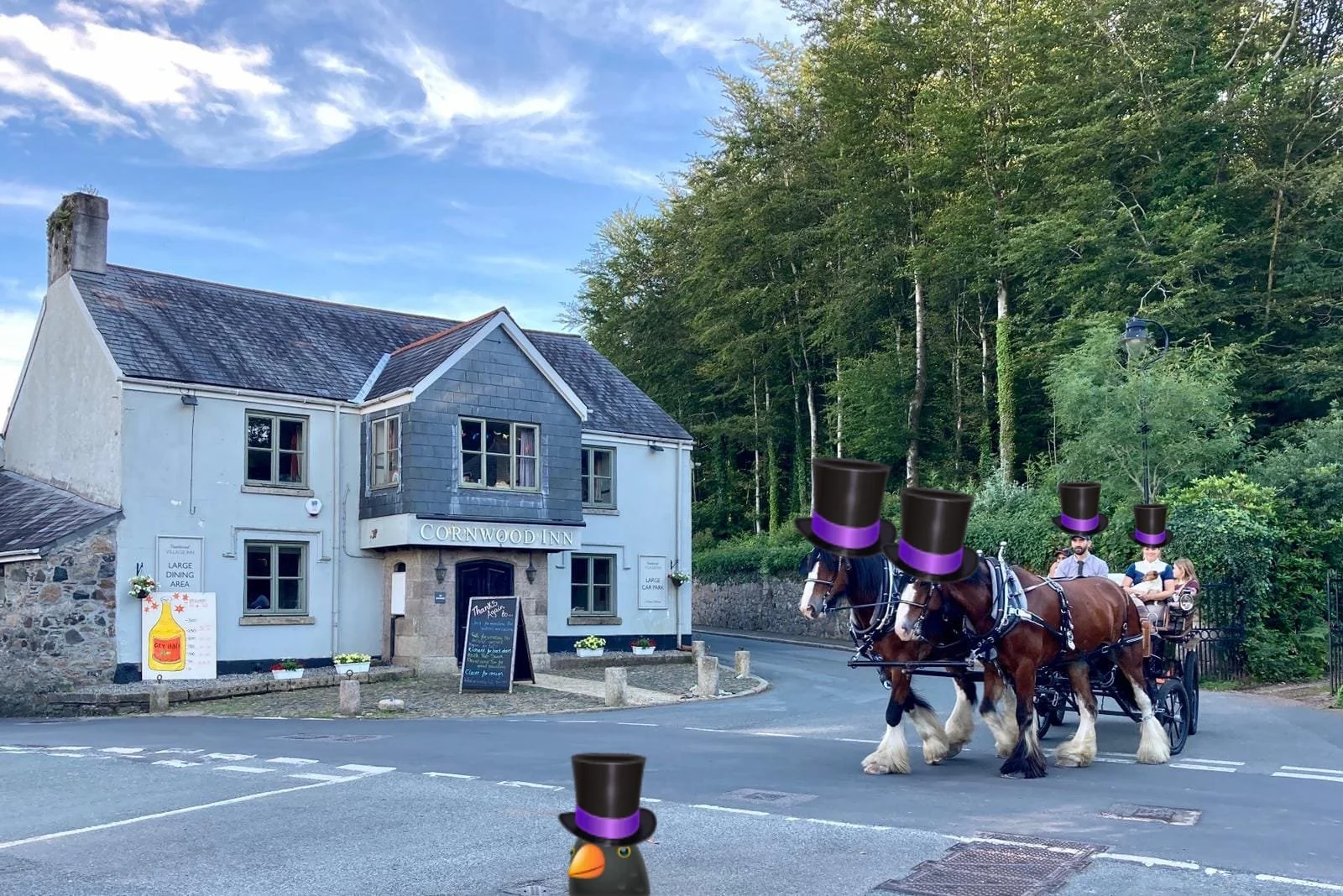 See us Live — Beltane Border