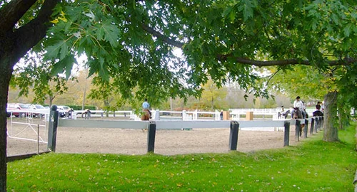 Huntington Meadow Stables