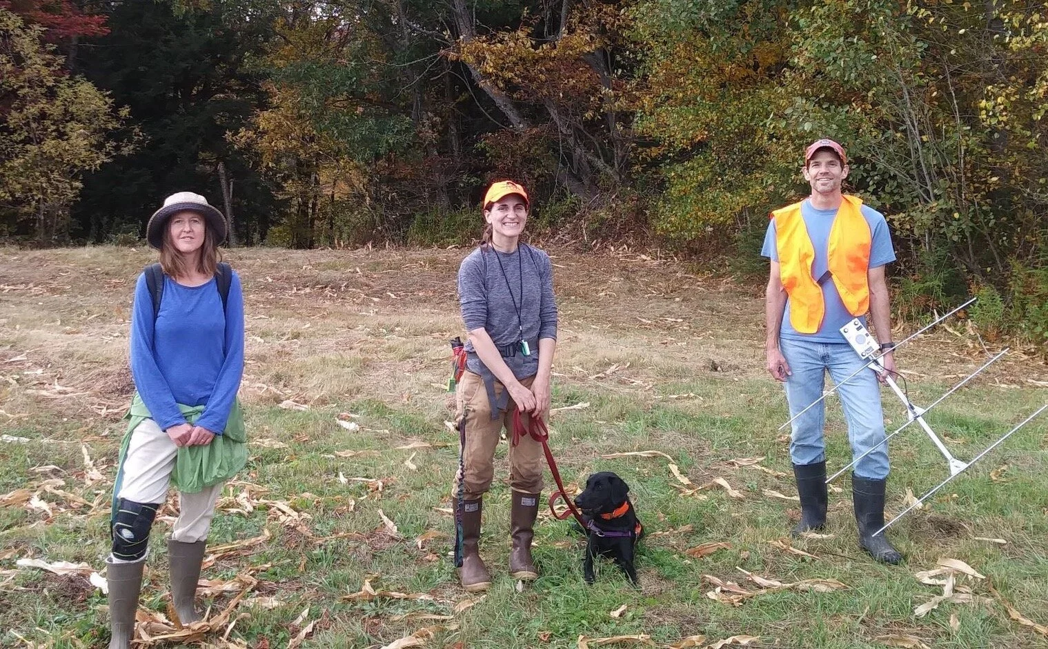 Center for Wildlife Studies